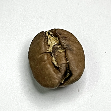 coffee Classification Model by samuelnote