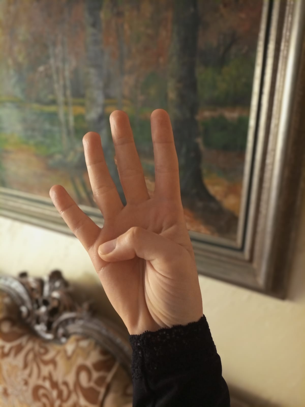 hands-one Object Detection Dataset by joe