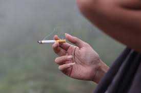 Cigarette Object Detection Model (v1, 2023-12-12 8:28am) by rovsan