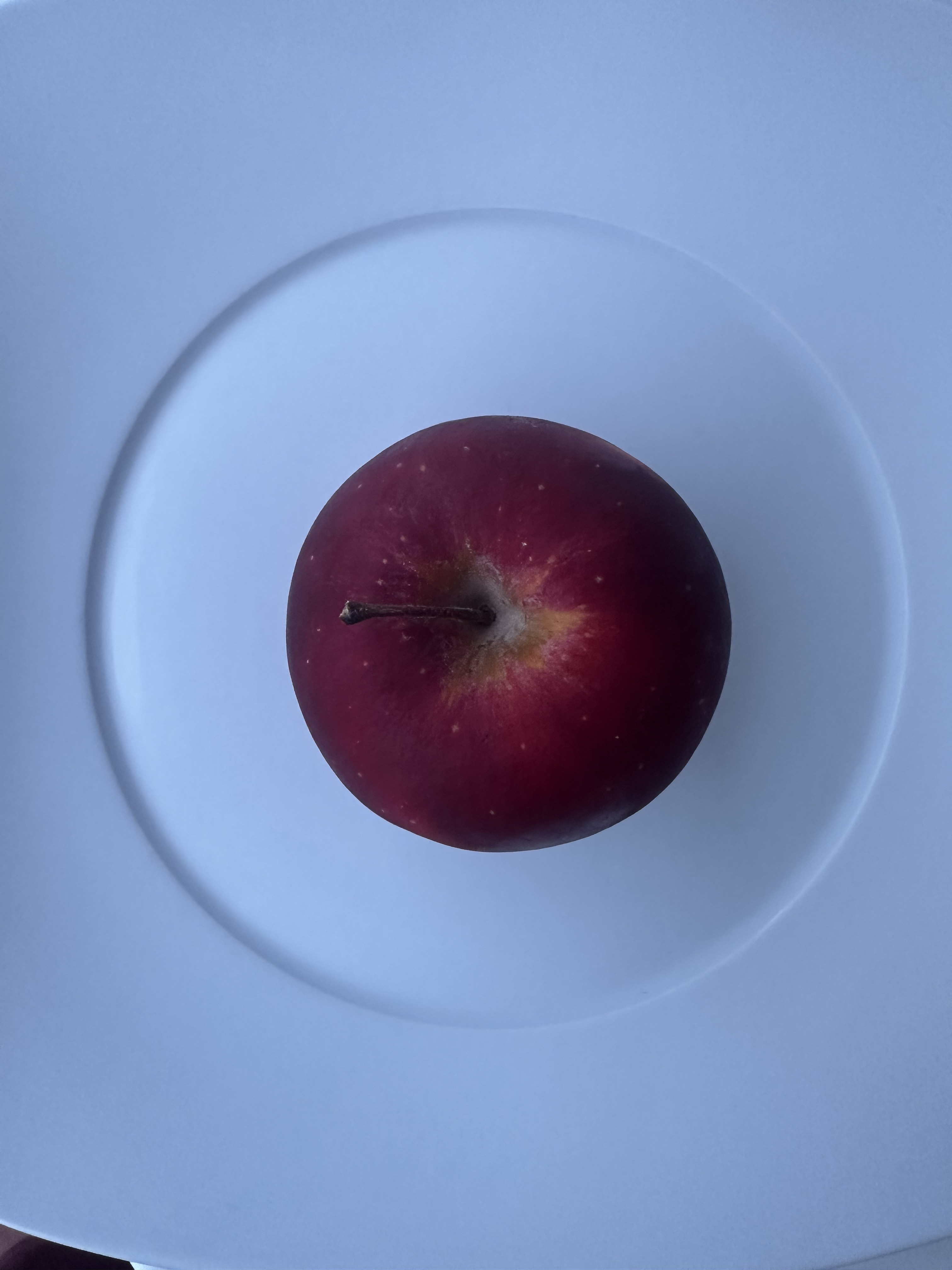 Curso Google Colab - Roboflow Universe