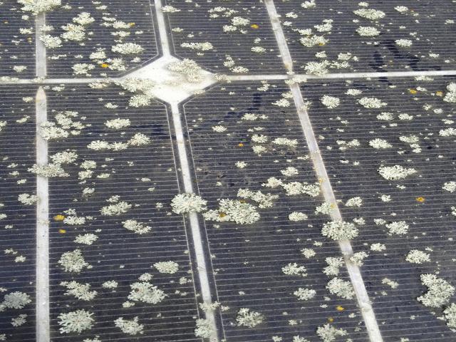 Defects In Pv System Object Detection Dataset By Computer Vision Datasets