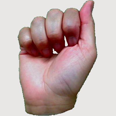 SgSL Sign Language Detection Model Object Detection Dataset and Pre-Trained Model by General