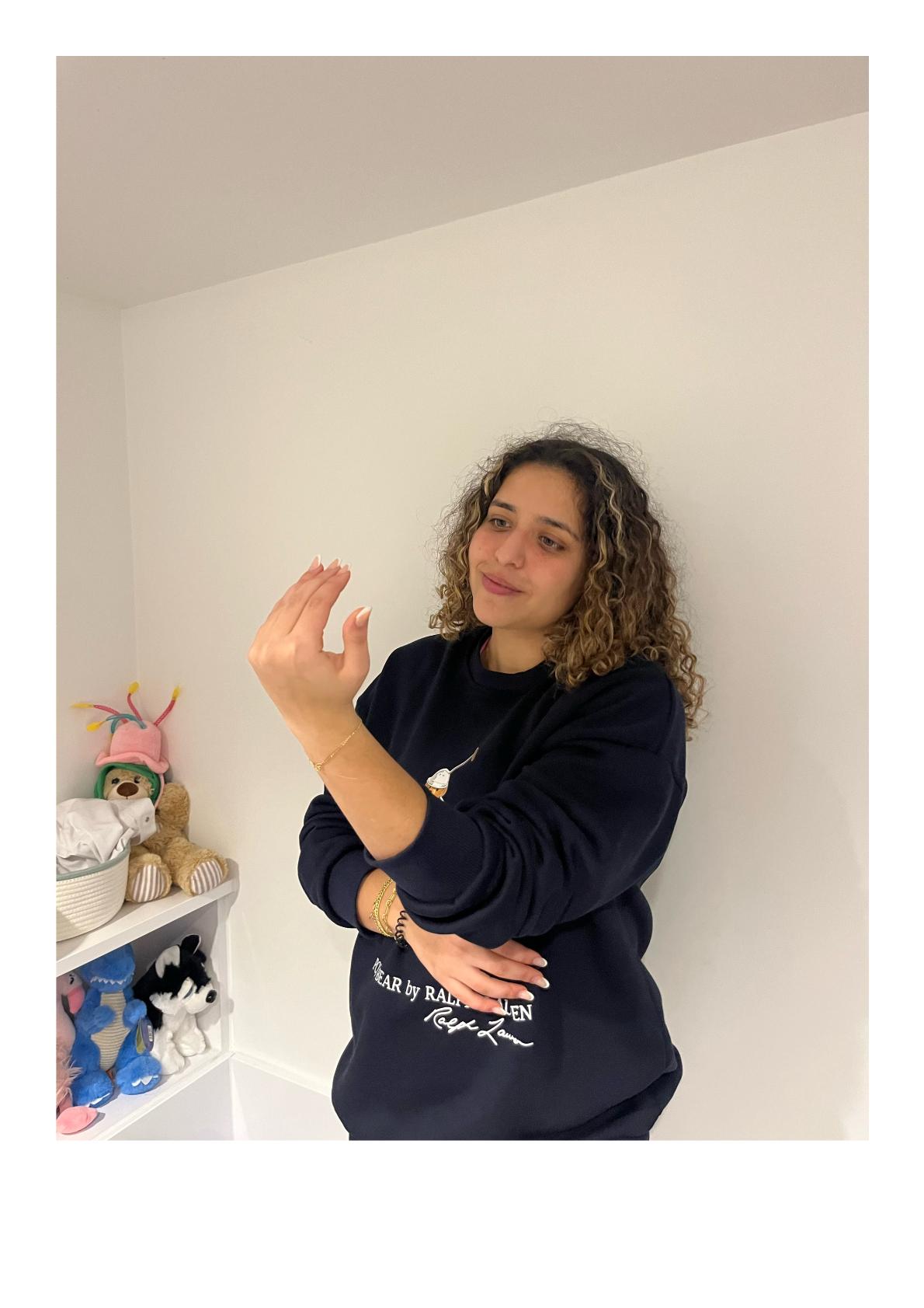 Fyp Object Detection Dataset By Hand Gesture Detection