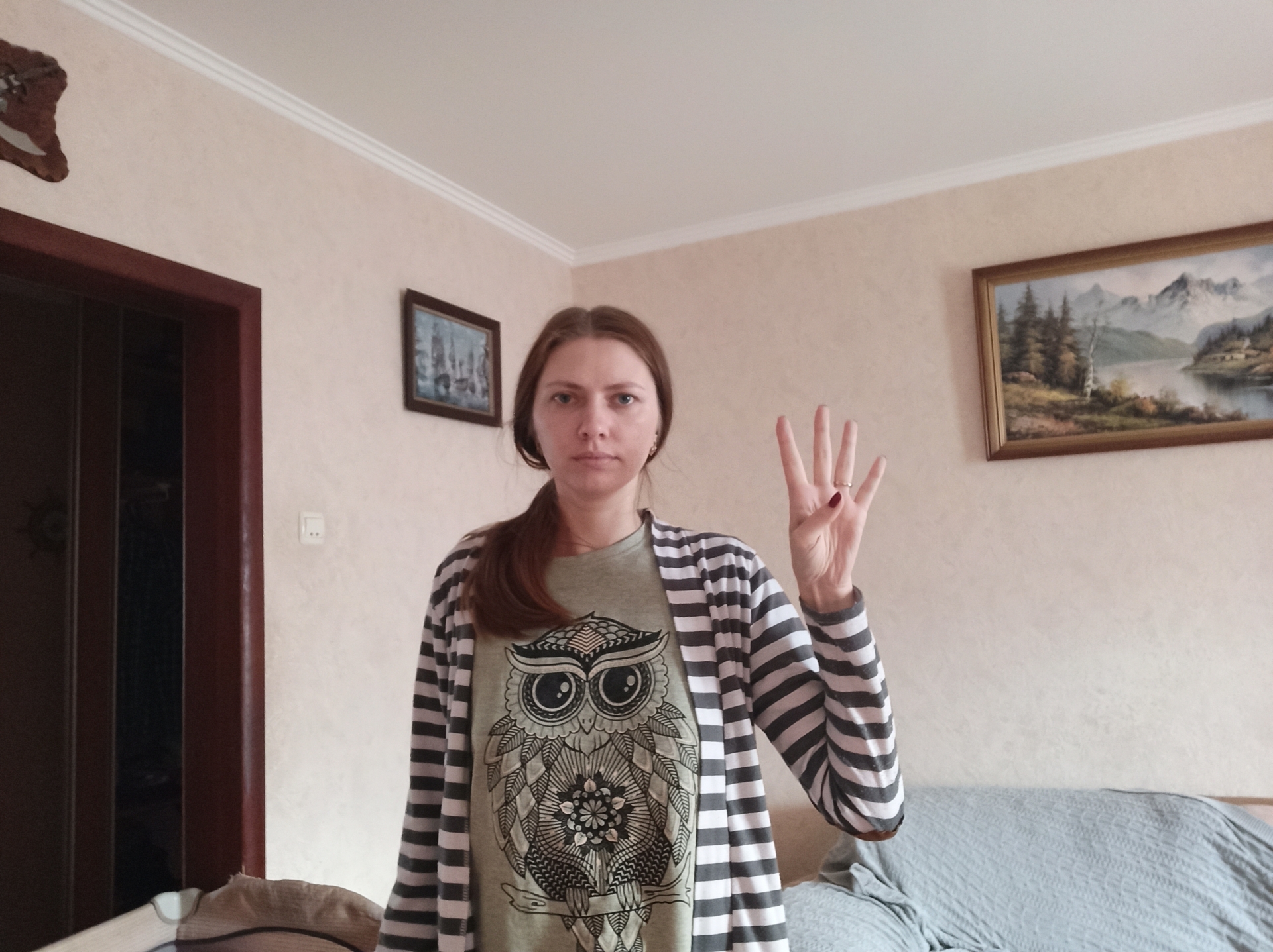 Hand Gesture Detection Object Detection Dataset By Preprocessing For Yolov8n Training