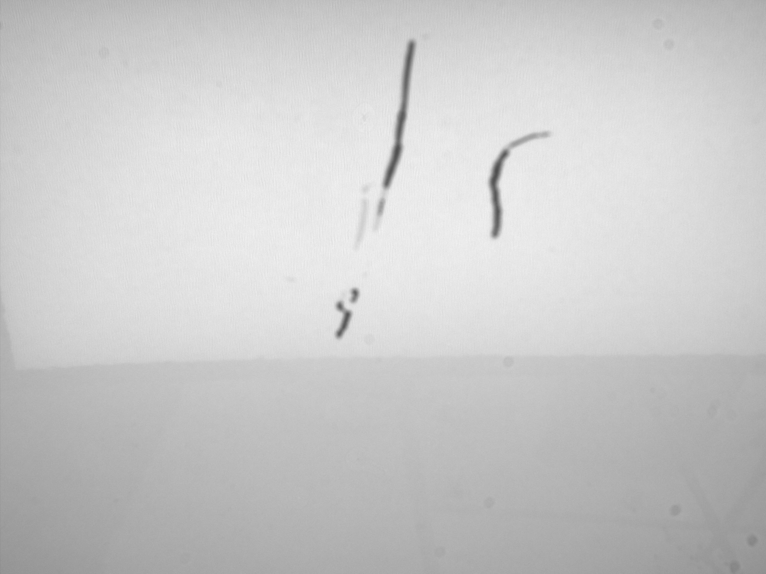 Scratch Object Detection Dataset By South China University Of Technology