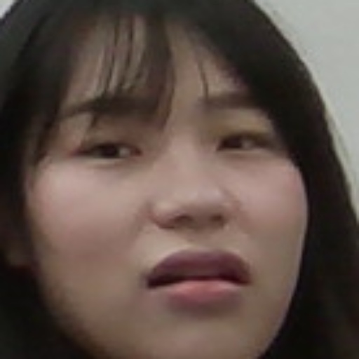 chan (chan-tffzy) - Roboflow Universe