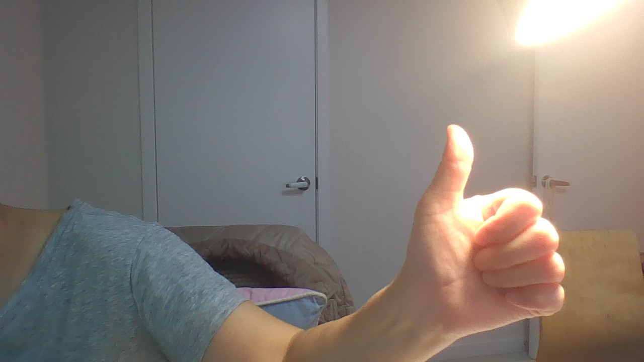 Amber Kim - Roboflow Universe