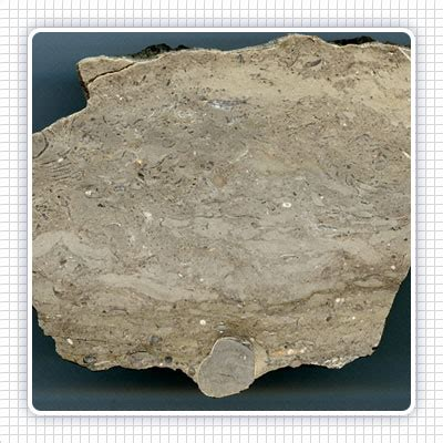 Rock identification Object Detection Model by Sanjana