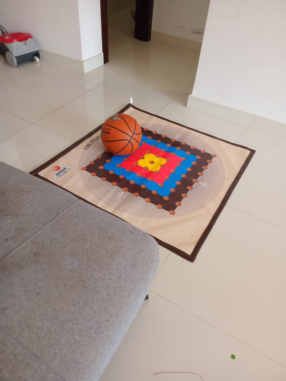 basketball Object Detection Model by basketball