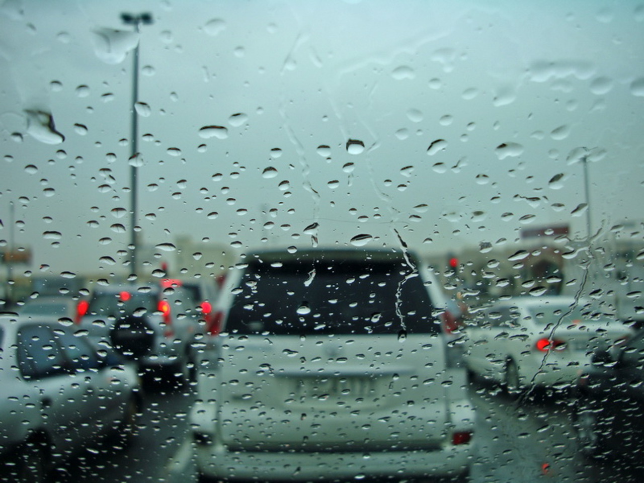 Dawn Object Detection Dataset and Pre-Trained Model by Tamanna