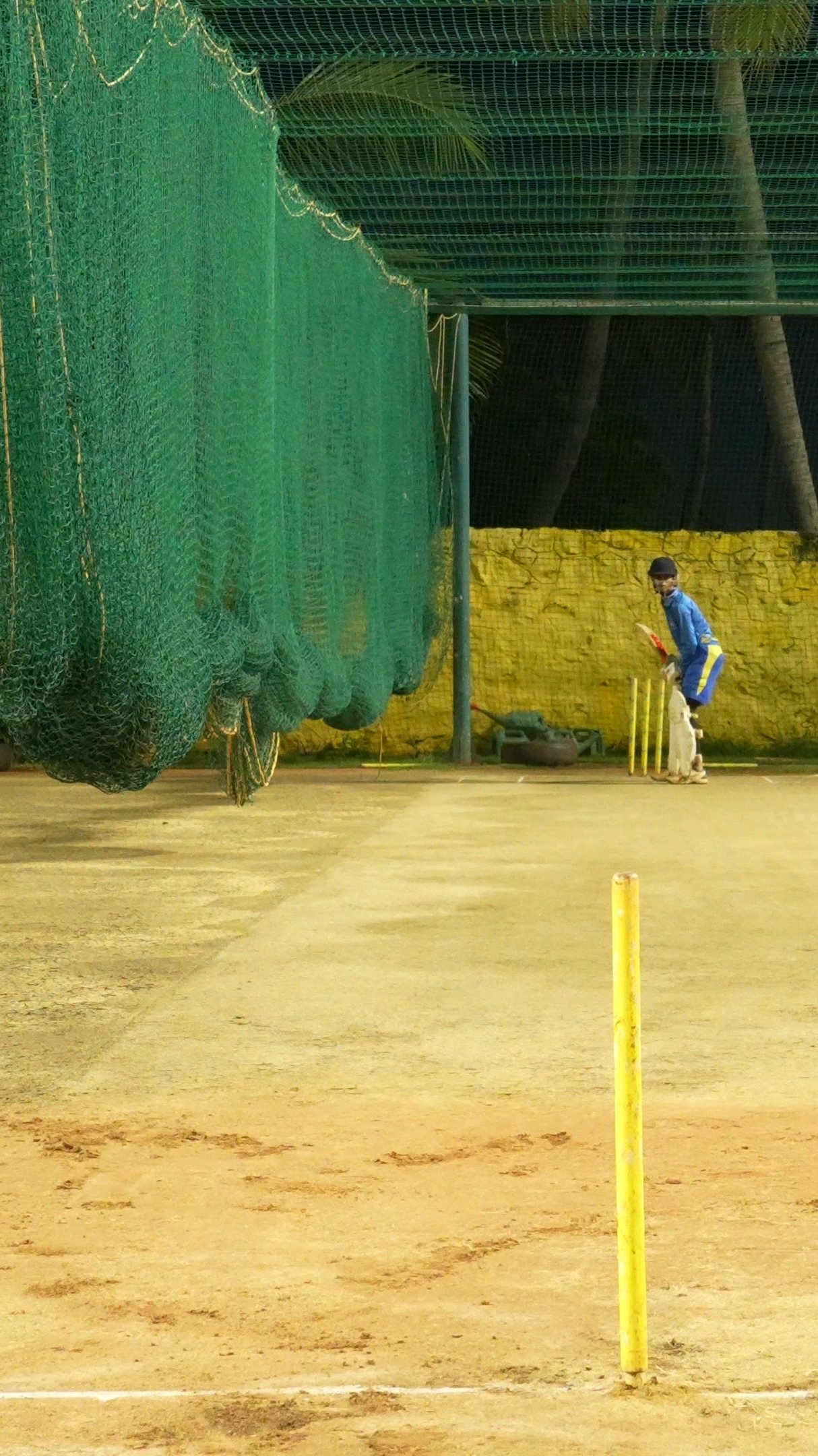 cricket_ball_yolo_kalman Object Detection Model by sports