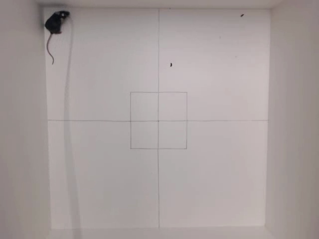 Mo 09 Image Annotations Instance Segmentation Dataset by Cassie LabGym