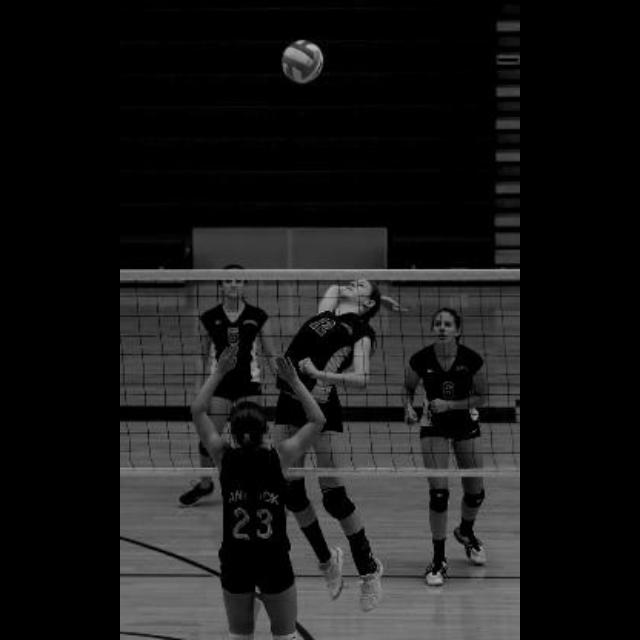 Volleyball Tracker Computer Vision Dataset By Volleyball Analyser