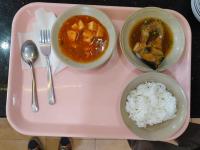 Wong Soon Kit - Roboflow Universe