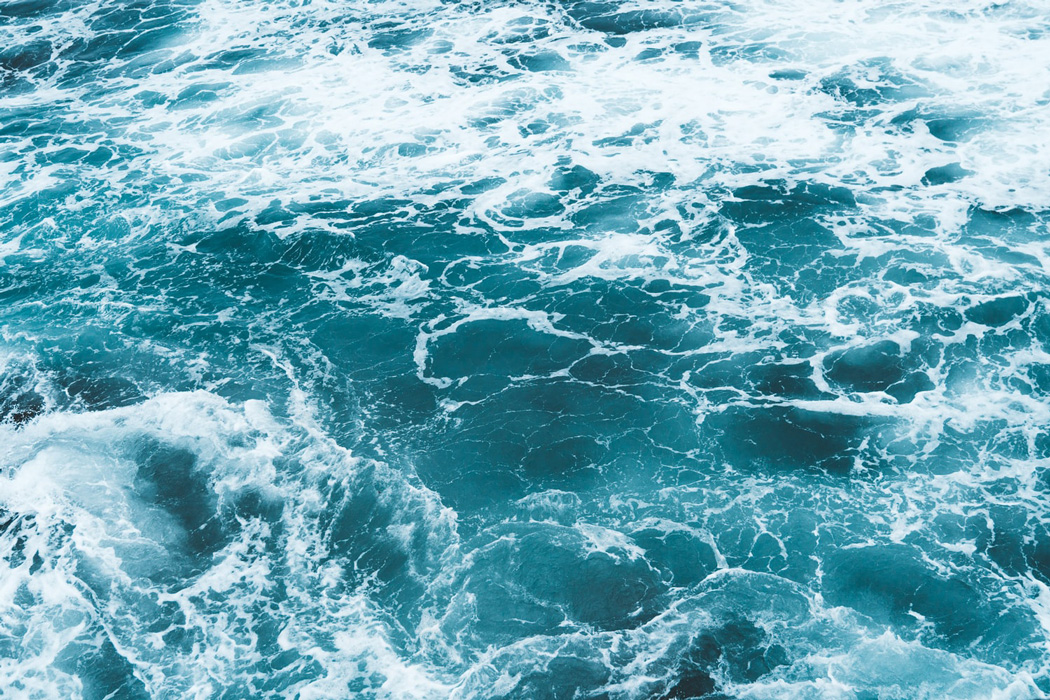 Custom Workflow Single-label Classification Classification Dataset and Pre-Trained Model by Myset