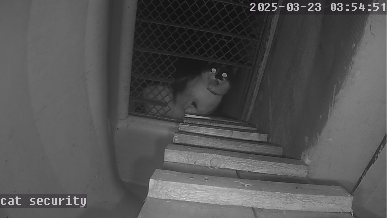 Cats and mice Object Detection Dataset by CatFlap