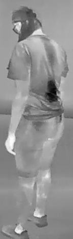 concealed_113 Object Detection Dataset by new