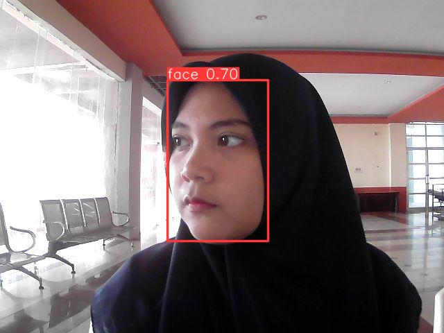face detection Object Detection Dataset by class