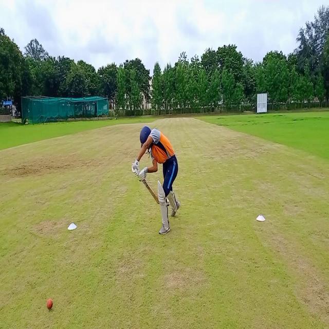 cricket fake Object Detection Dataset by class