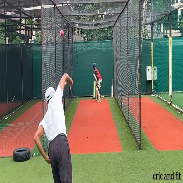 cricket Object Detection Dataset by class