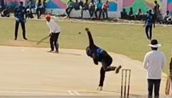 Monkey_detection_training Object Detection Dataset by class