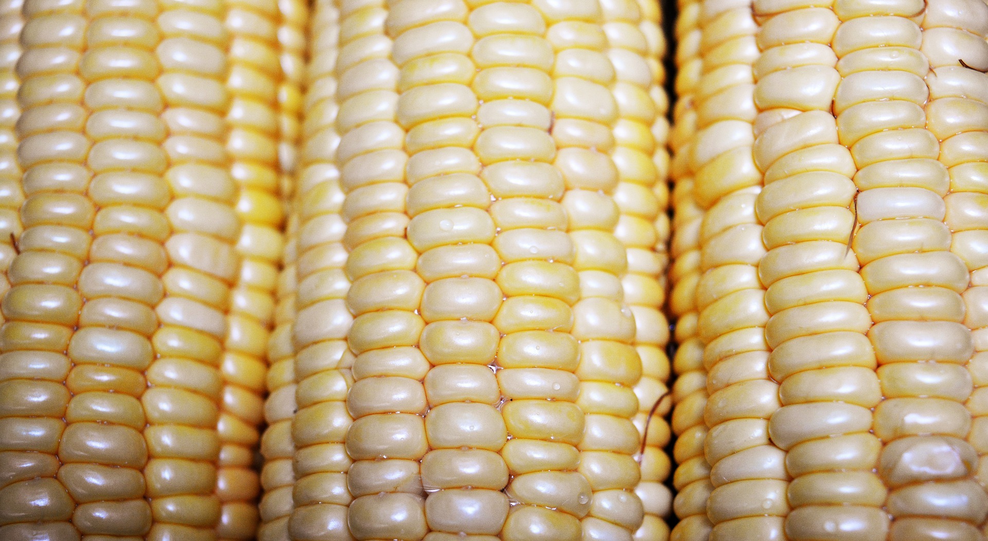 How to Use the kernel Object Detection API