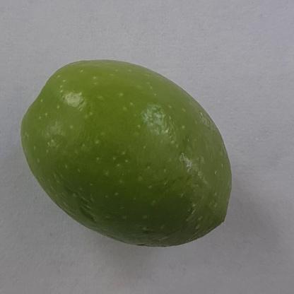 olive Object Detection Dataset and Pre-Trained Model by detection for real