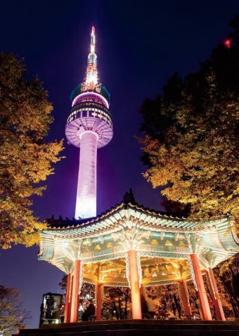 N Seoul Tower Detection Object Detection Model by namsantower