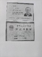 tree (tree-5oycl) - Roboflow Universe