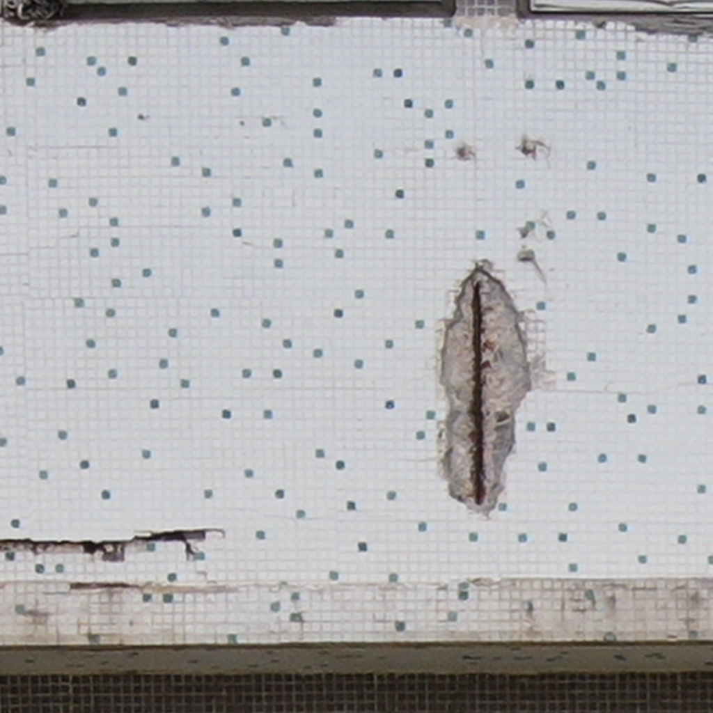 crack detection amber clear Instance Segmentation Dataset and Pre-Trained Model by civil fyp