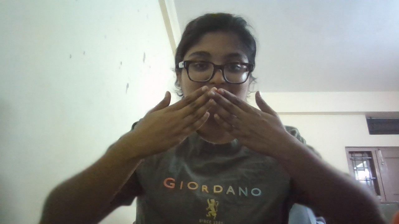 hand sign Object Detection Dataset by work