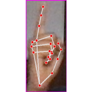 sign language Object Detection Dataset by sashank