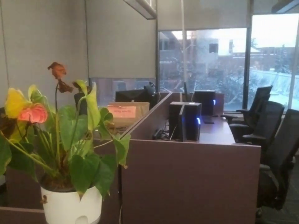 Plant Disease Detection Instance Segmentation Dataset and Pre-Trained Model by diseasedetection