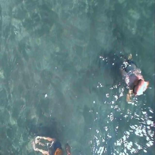 DD Object Detection Model by NUST