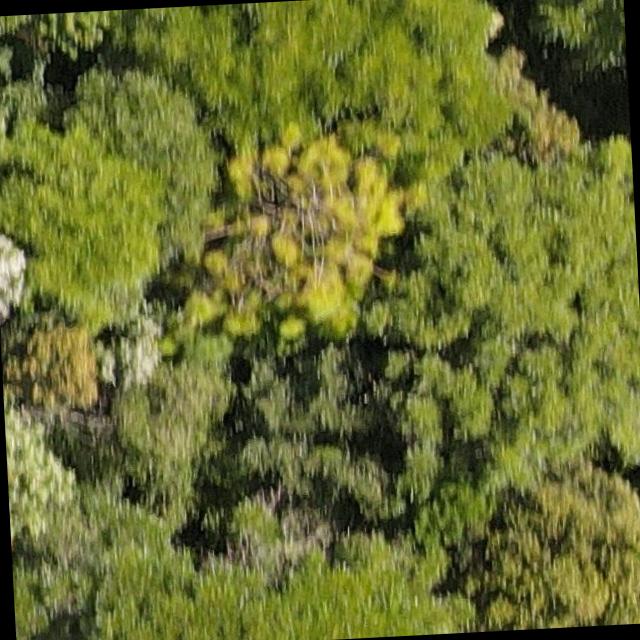 Aum_Aum Object Detection Dataset by Joao Roberto