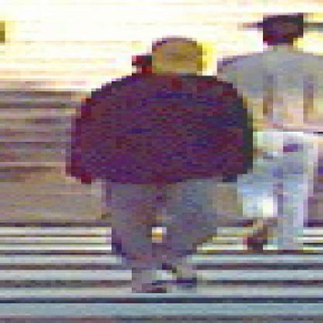 person Object Detection Dataset by projects