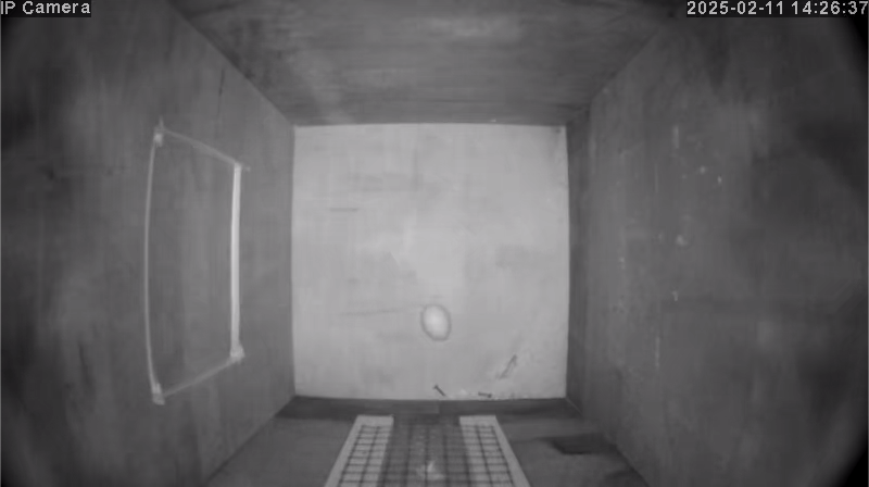 egg Object Detection Model by AAI