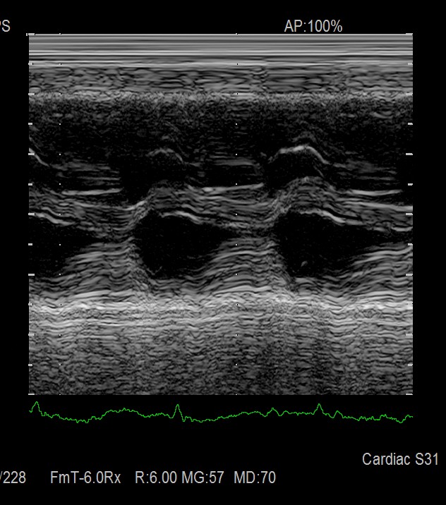 lab (lab-yh2t3) - Roboflow Universe