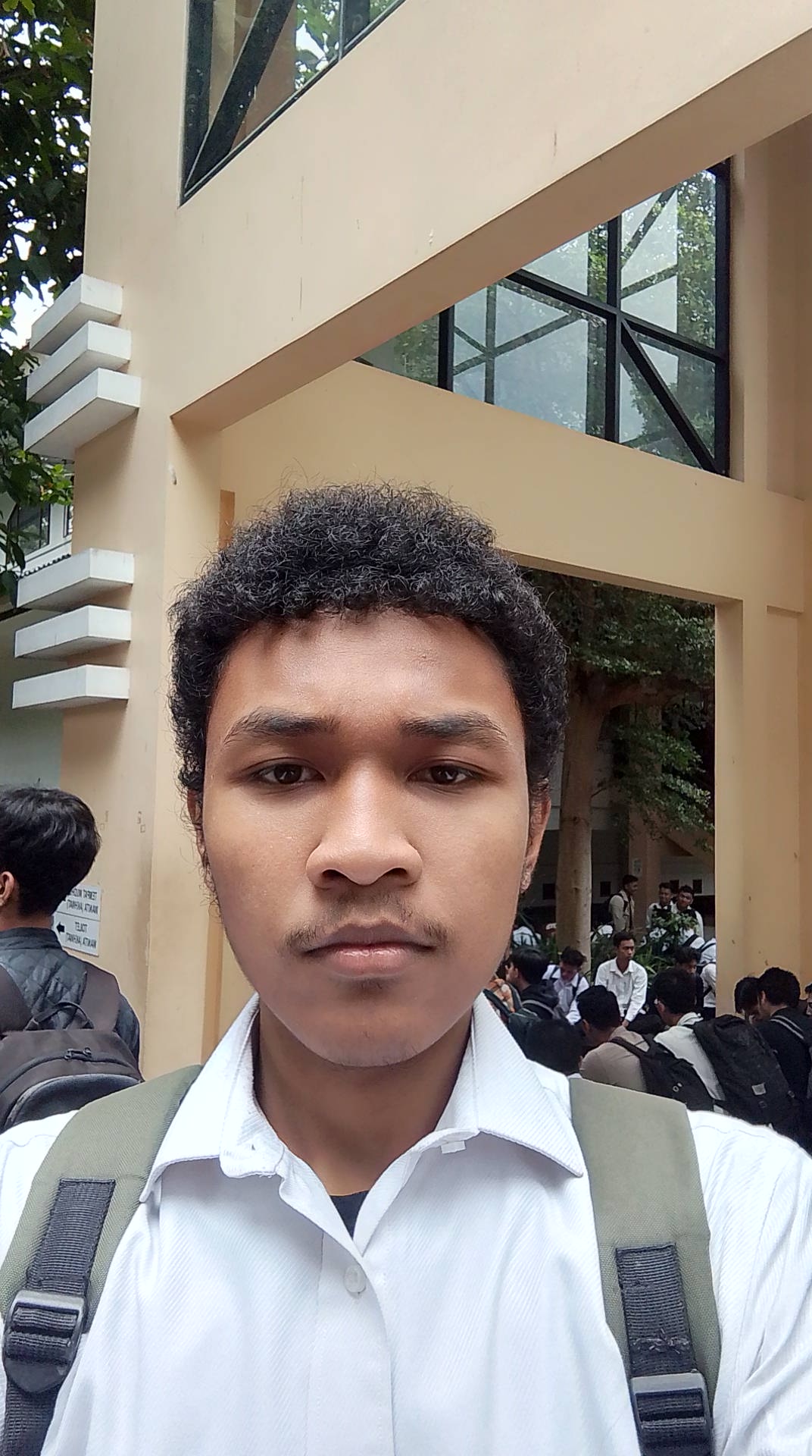 Pcd Test Object Detection Dataset By Prima