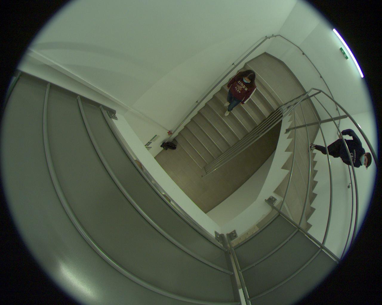 Test Object Detection Model by Dallmeier