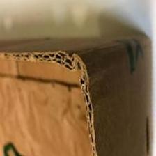 cardboard_detector Object Detection Model by Team31