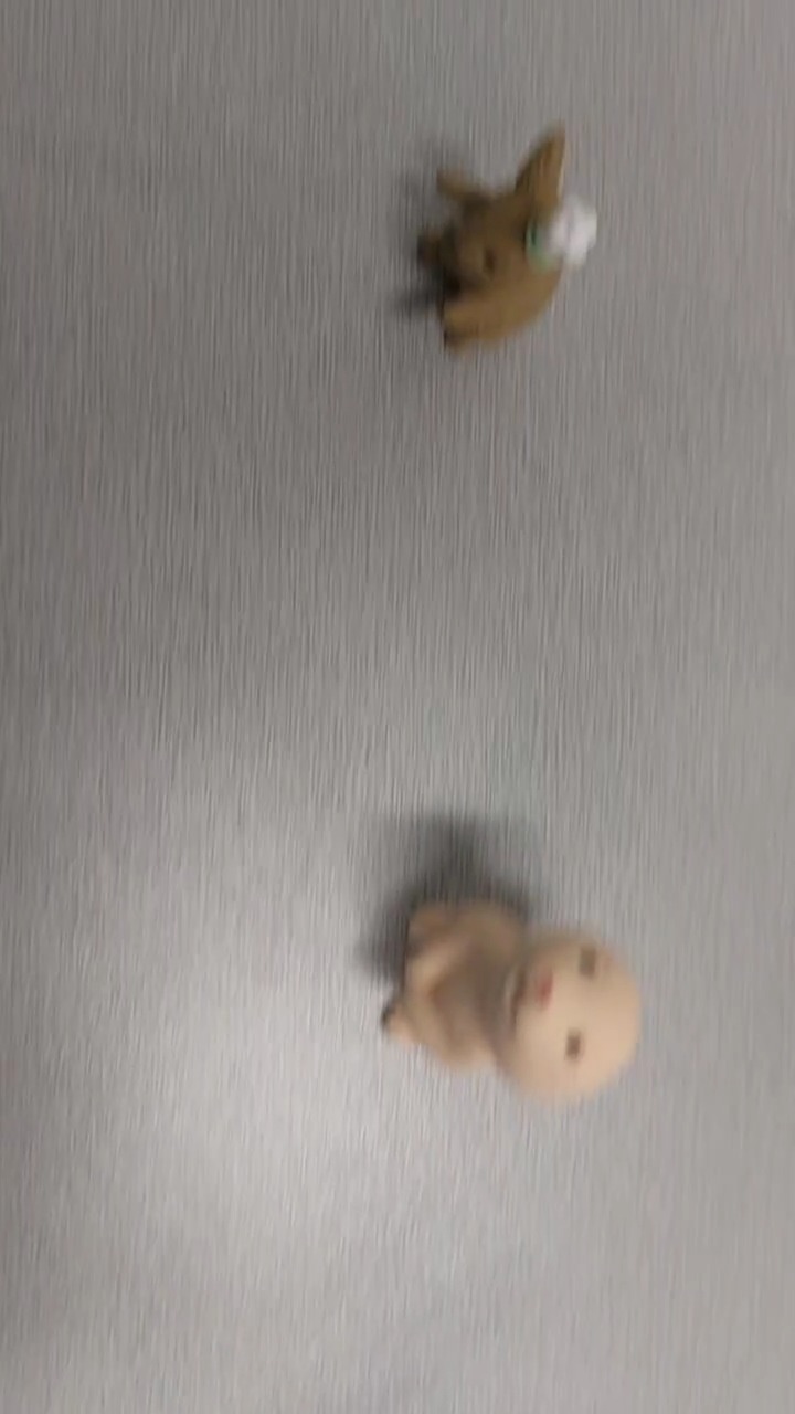 Aa Object Detection Dataset And Pre Trained Model By Javier Tey Rui