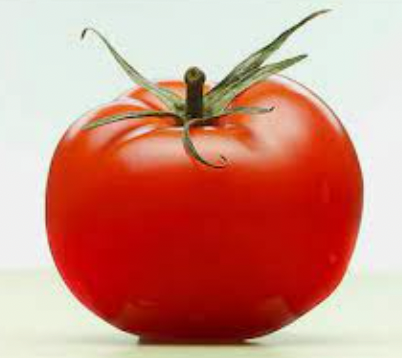 Tomato Classification Classification Model by Labeler Projects