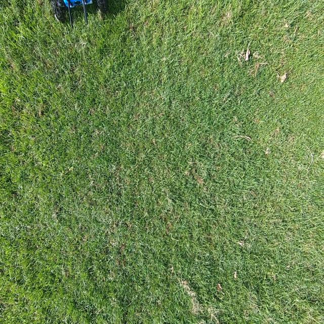 Ground Rover Robot Detection Object Detection Dataset By Nimra