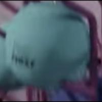 Coco to tfrecord - Roboflow Universe