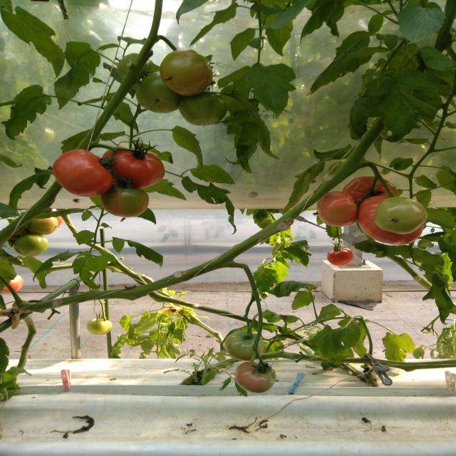 zcr - Roboflow Universe