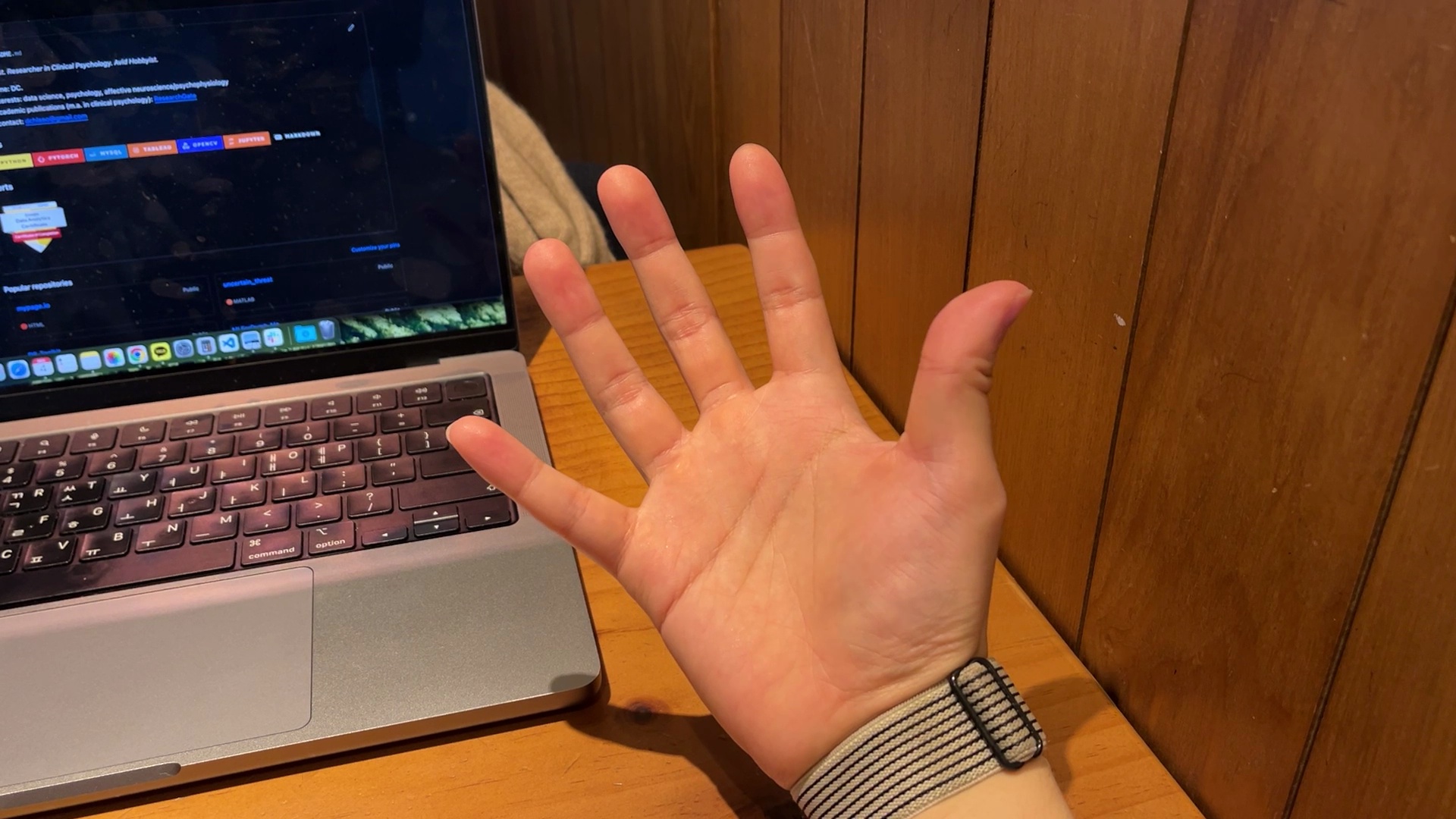 hand_motion Object Detection Dataset by sdc