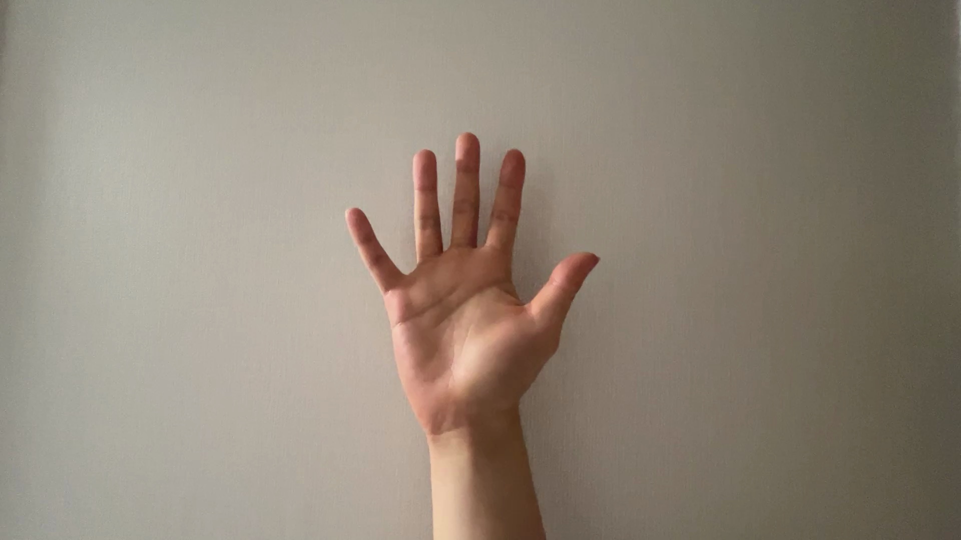 hand_motion_v2 Object Detection Dataset by sdc