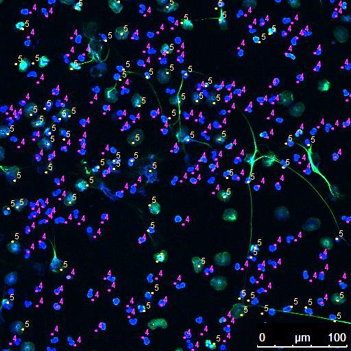 NETS prediction Object Detection Dataset and Pre-Trained Model by Niha