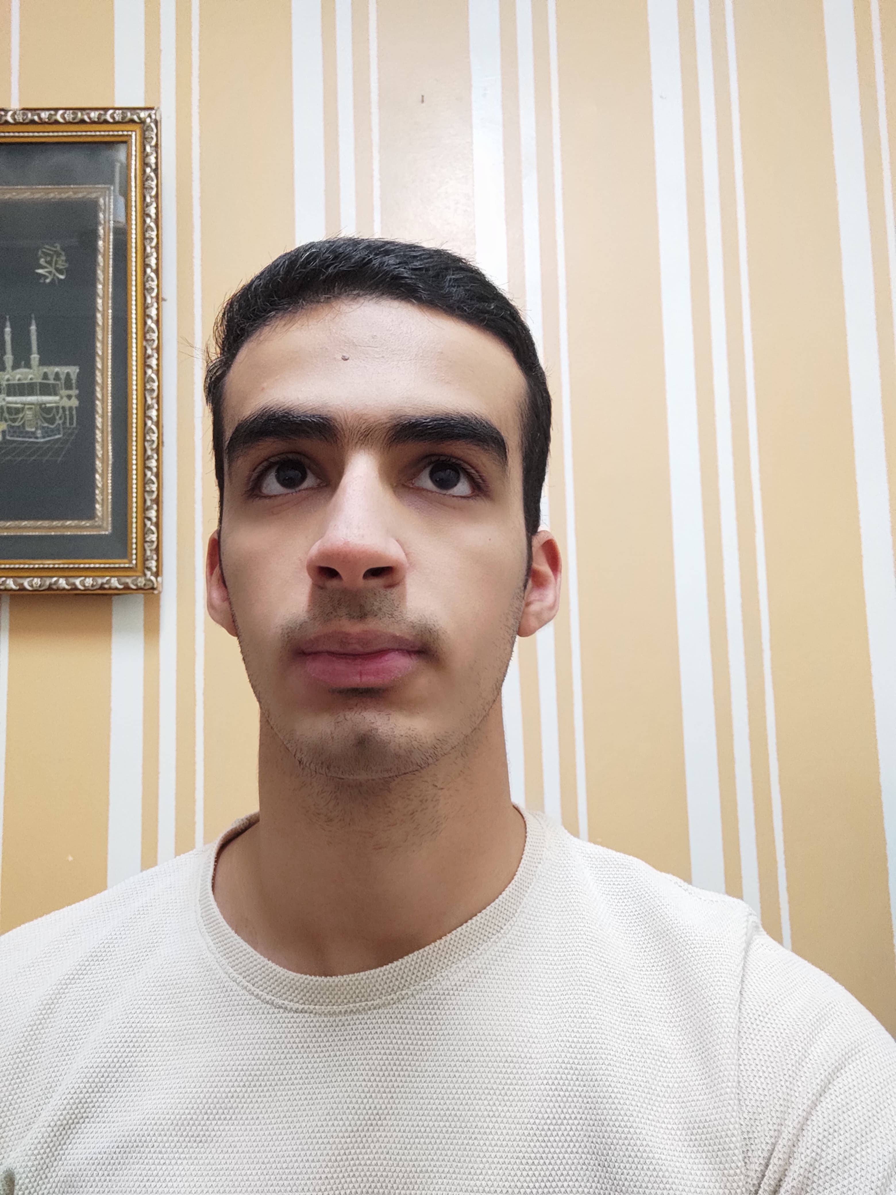 mohamed wael (mohamed-wael-oov07) - Roboflow Universe